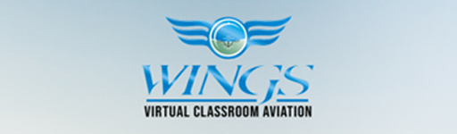 PORTAL WINGS | Capacitação e Formação para a Aviação